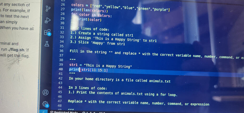 Python Basics 1.3 Slicing Issue - General - Cybrary