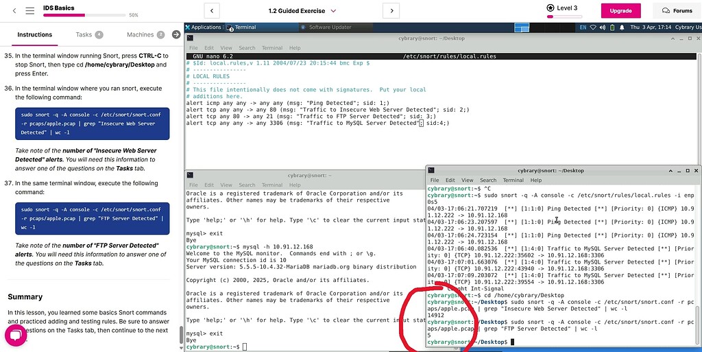 IDS Basics problem - IT and Cybersecurity Foundations - Cybrary